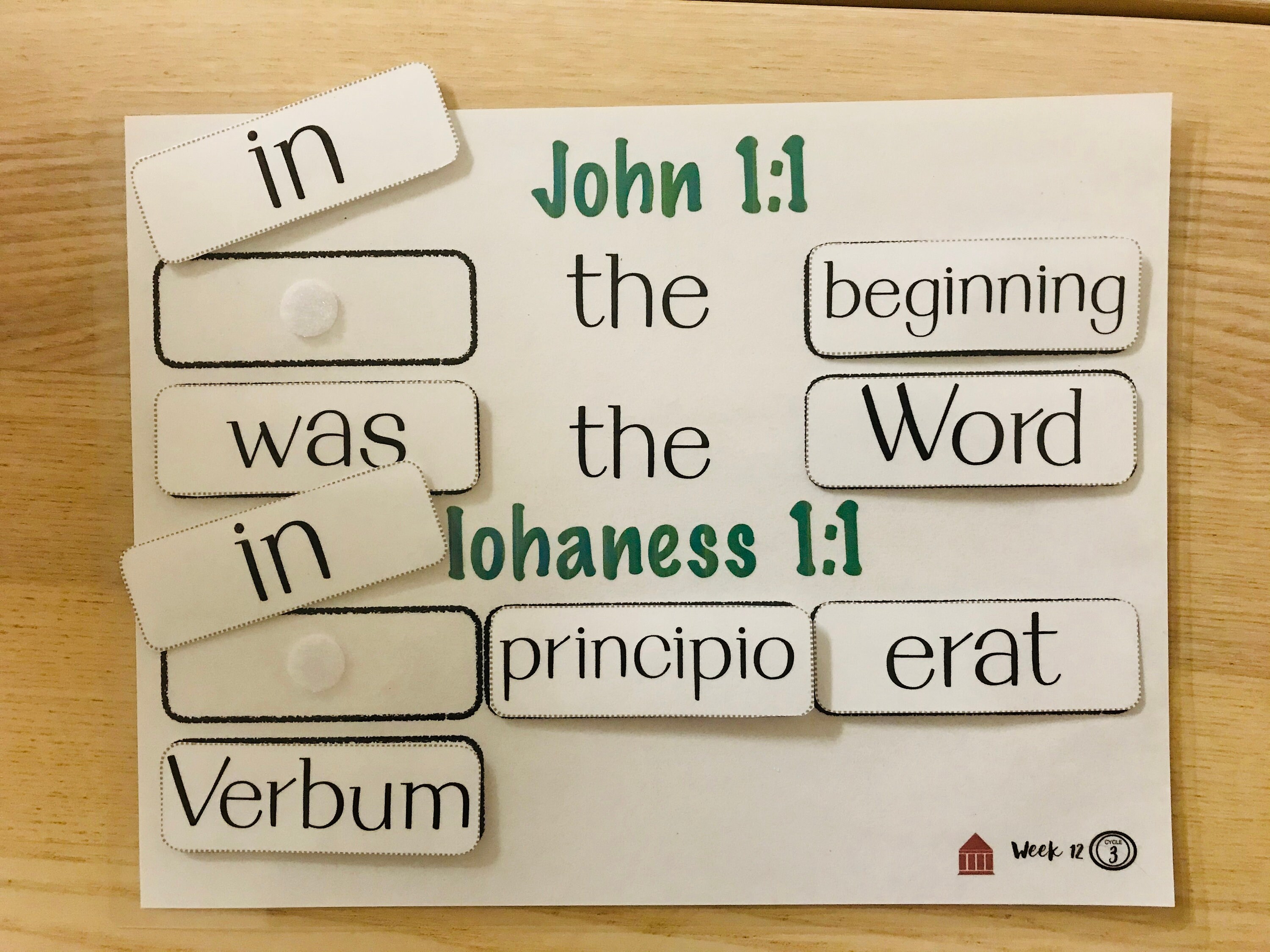 CC Cycle 3 latin Interactive Laminates PDF - Etsy