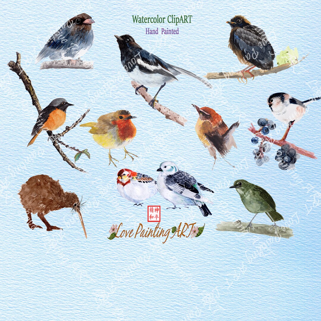Bird ,bird Watercolor,bird Clipart, Animal Watercolor,watercolor, Print ...