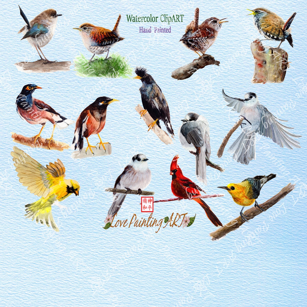 Bird,bird Watercolor,bird Clipart,bird Clipart,bird Painting,bird Art ...