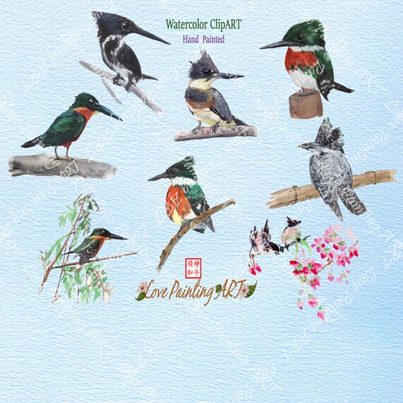 Bird Bird Watercolorbird Clipart watercolor Clipartprint | Etsy