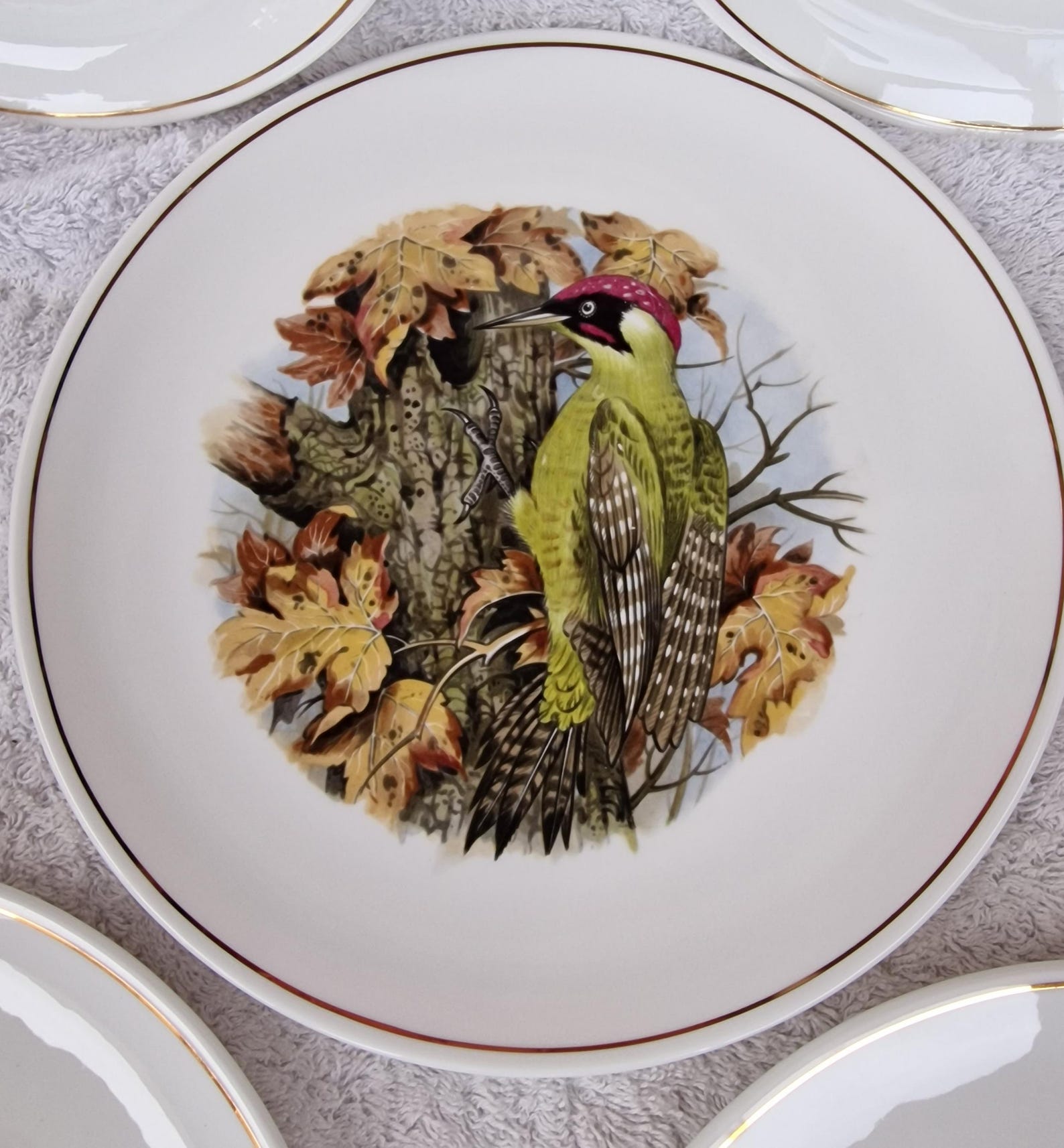 Hammersley Bone China - Selection of Bird Decorated Collect and Display ...