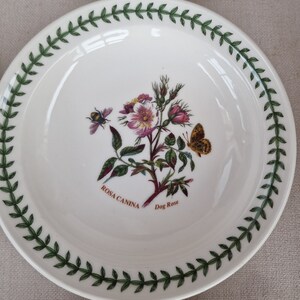 Portmeirion Pottery Small Plates or Shallow Bowls or Dishes - Botanic ...