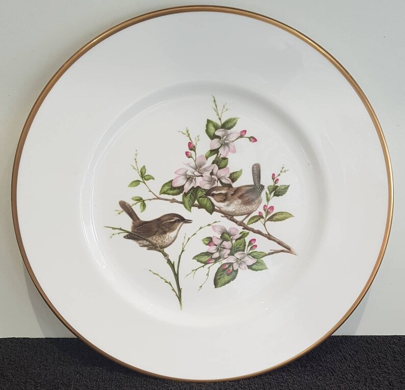 Limited Edition BRITISH BIRDS Collectors Plates by Coalport 3 - Etsy ...