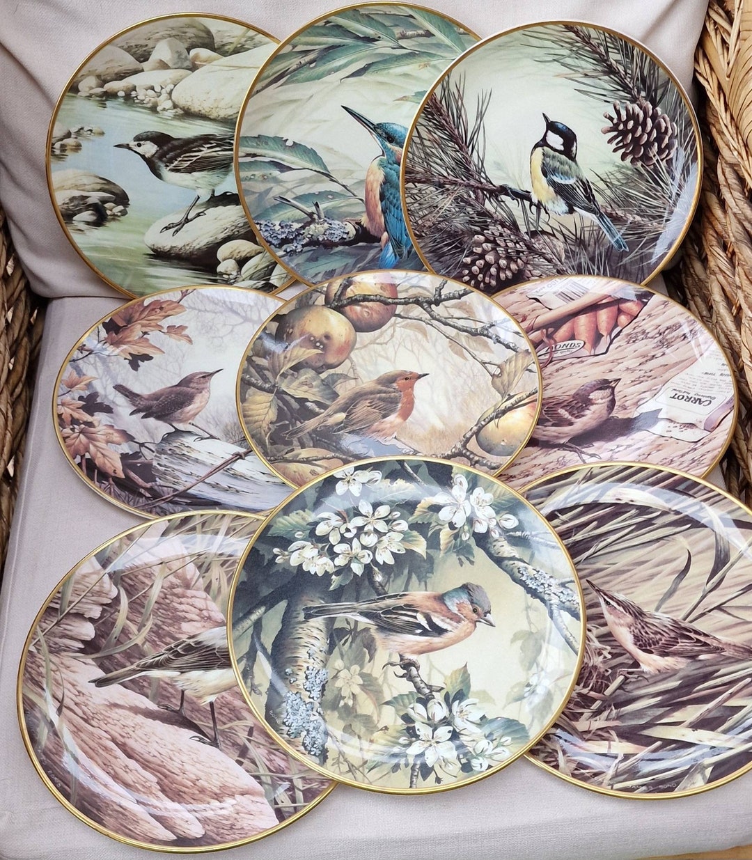 Limited Edition Wedgwood Collectors Plates - RSPB Centenary Plate ...