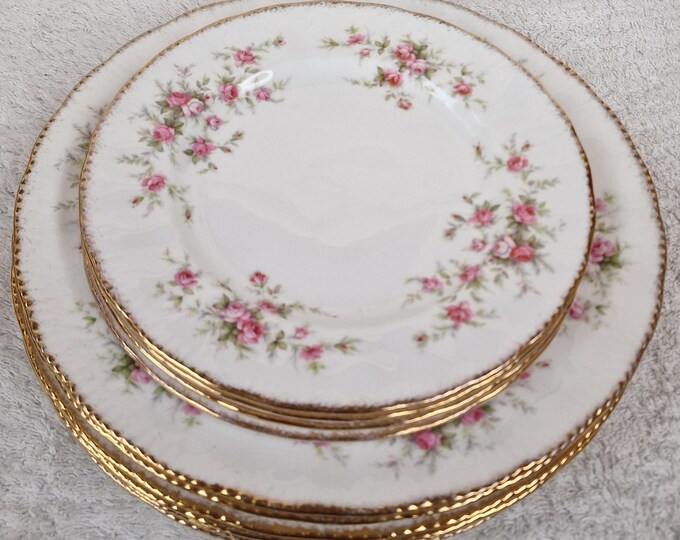 Vintage Paragon Bone China Dinner and Salad Plates - Victoriana Rose ...