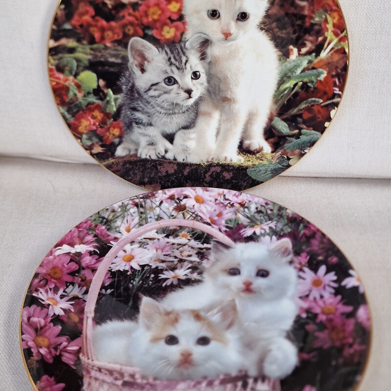 Kitten Plate - Etsy