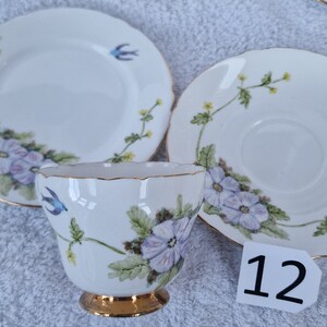 Vintage Shelley Bone China Plates and Trio - Hand Painted - Very Rare ...