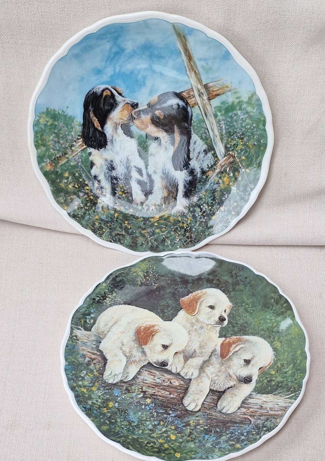 Royal Albert Puppy Plate: Springer Spaniels or Golden Labradors. Choose ...