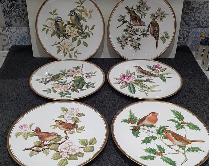 GARDEN BIRDS by Spode, Six Studies of Garden Birds, Collectors Plates ...
