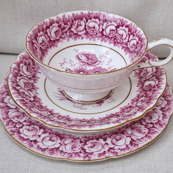 Pink Cabbage Rose - Etsy