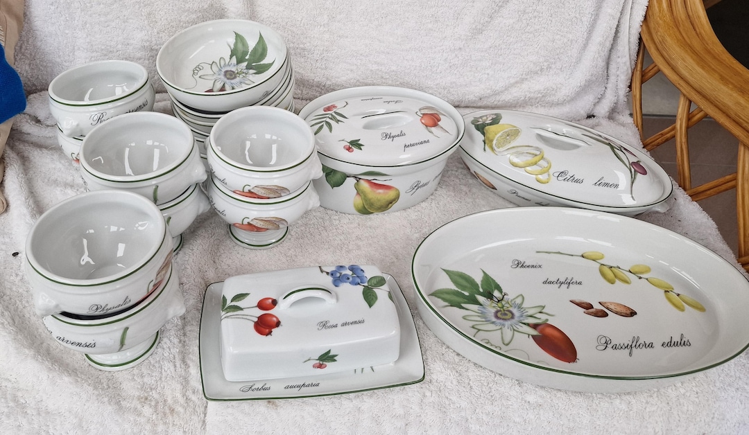 Apilco Porcelain - Cooking, Dinner and Breakfast Items, Elysian Garden ...