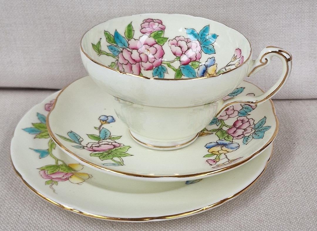 E Brain Foley Bone China Part Hand Painted Trio in Lovely Floral ...