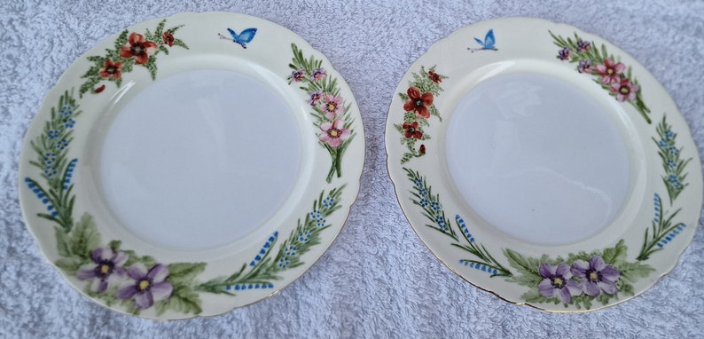 Vintage Shelley Bone China Plates and Trio - Hand Painted - Very Rare ...