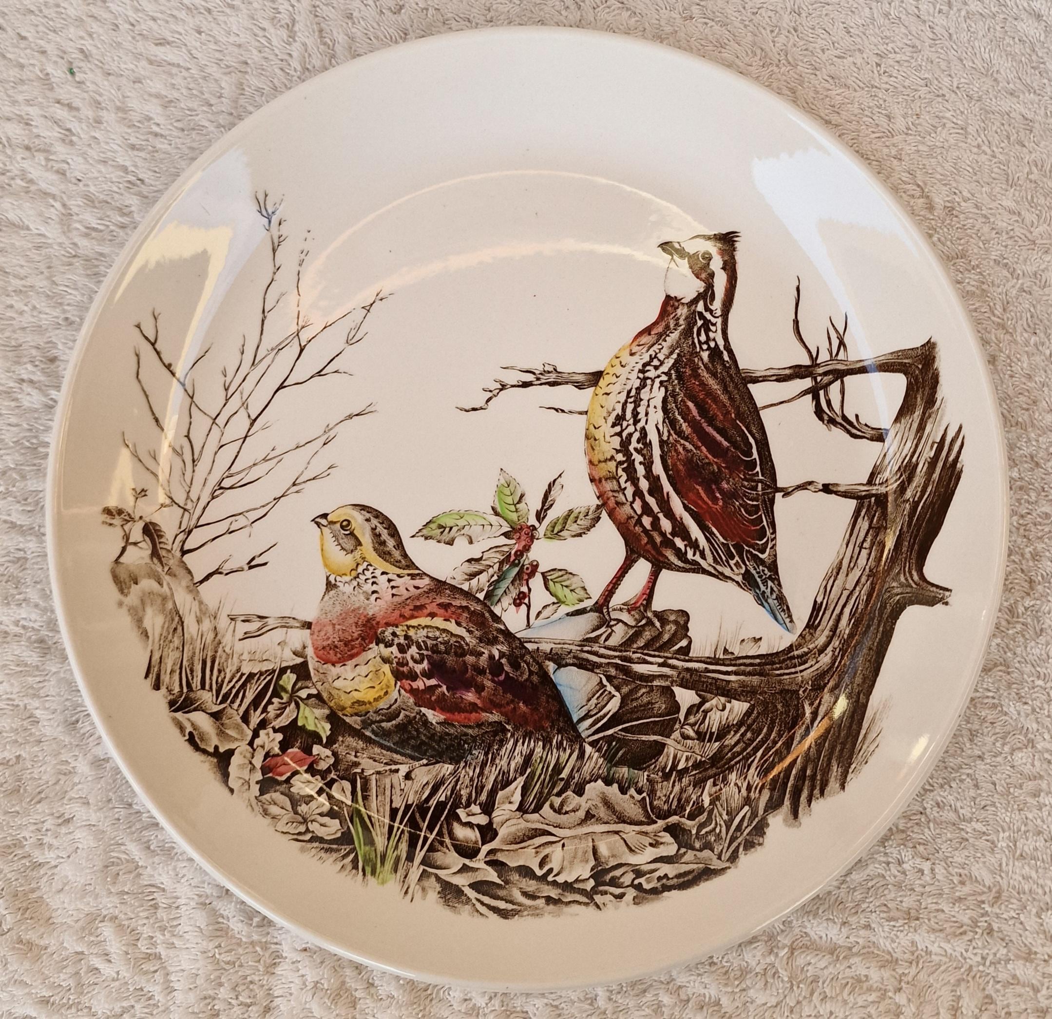 Johnson Brothers Ironstone 10 5/8 Inch Dinner or Display Plates From ...