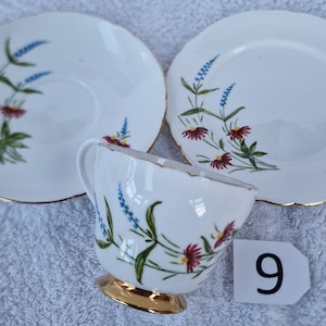 Vintage Shelley Bone China Plates and Trio - Hand Painted - Very Rare ...