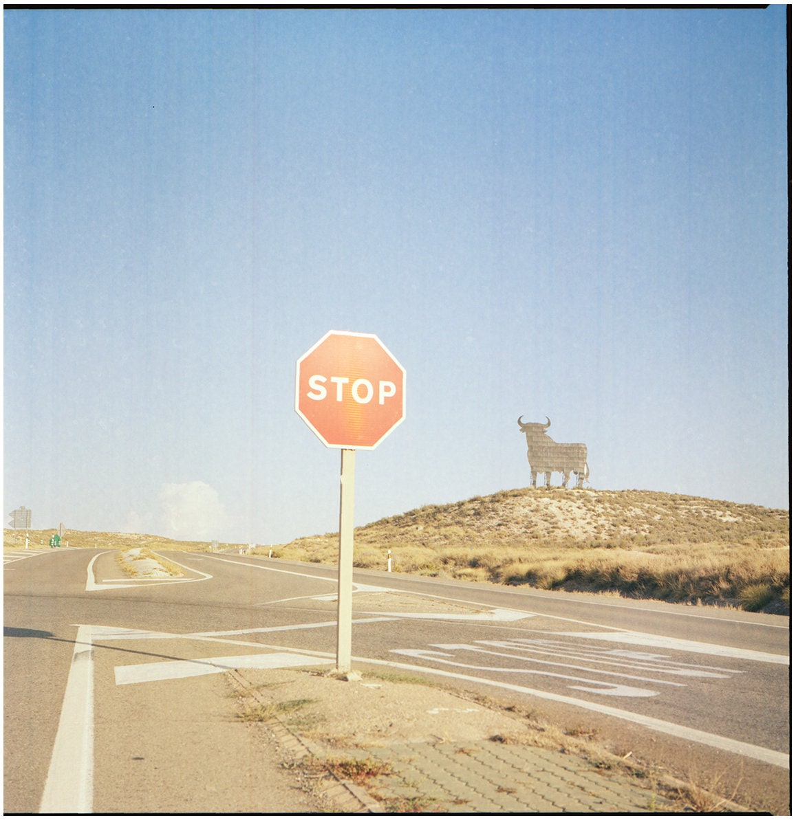 Traffic Sign on Empty Landscape in Spain With Bull Analogue Photography ...