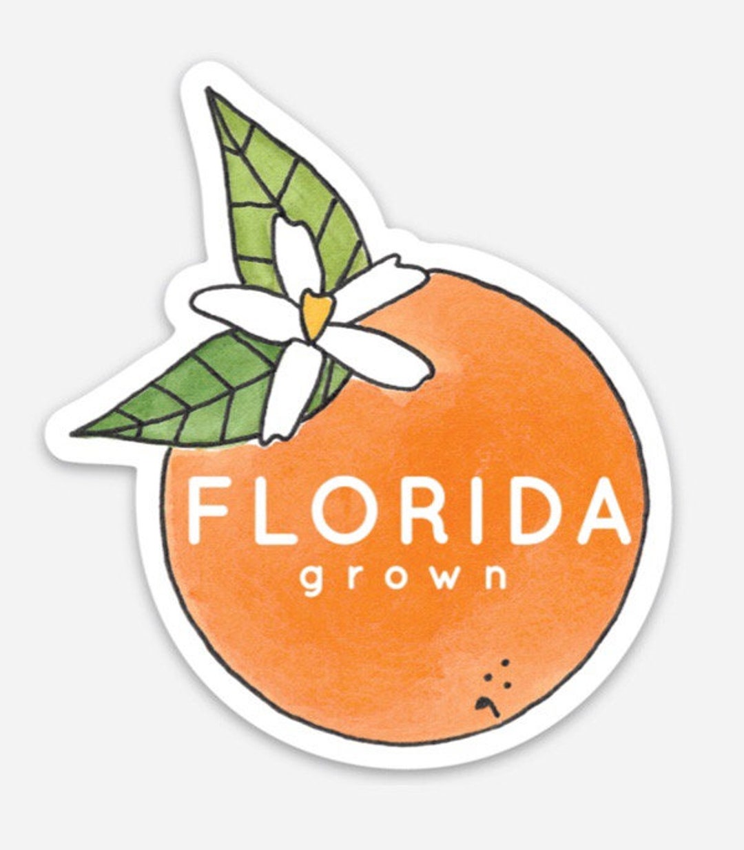 Watercolor Florida Grown Orange Die Cut Sticker - Etsy