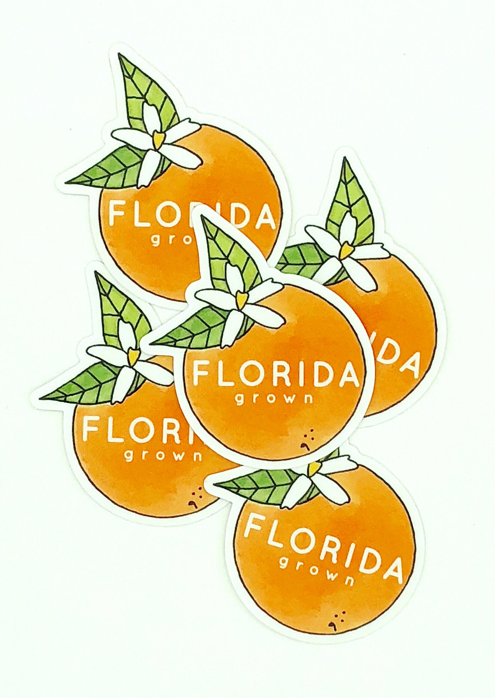 Watercolor Florida Grown Orange Die Cut Sticker - Etsy