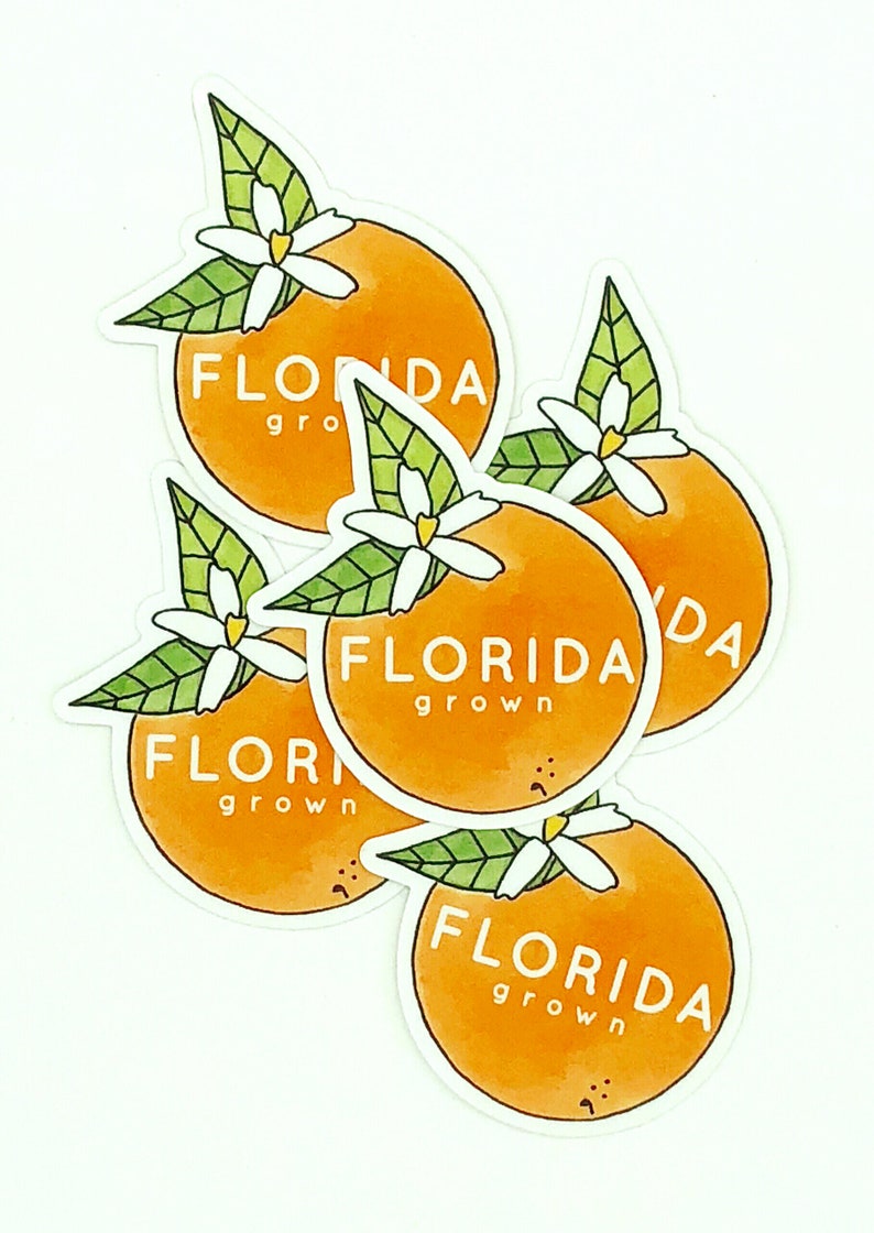 Watercolor Florida Grown Orange Die Cut Sticker - Etsy