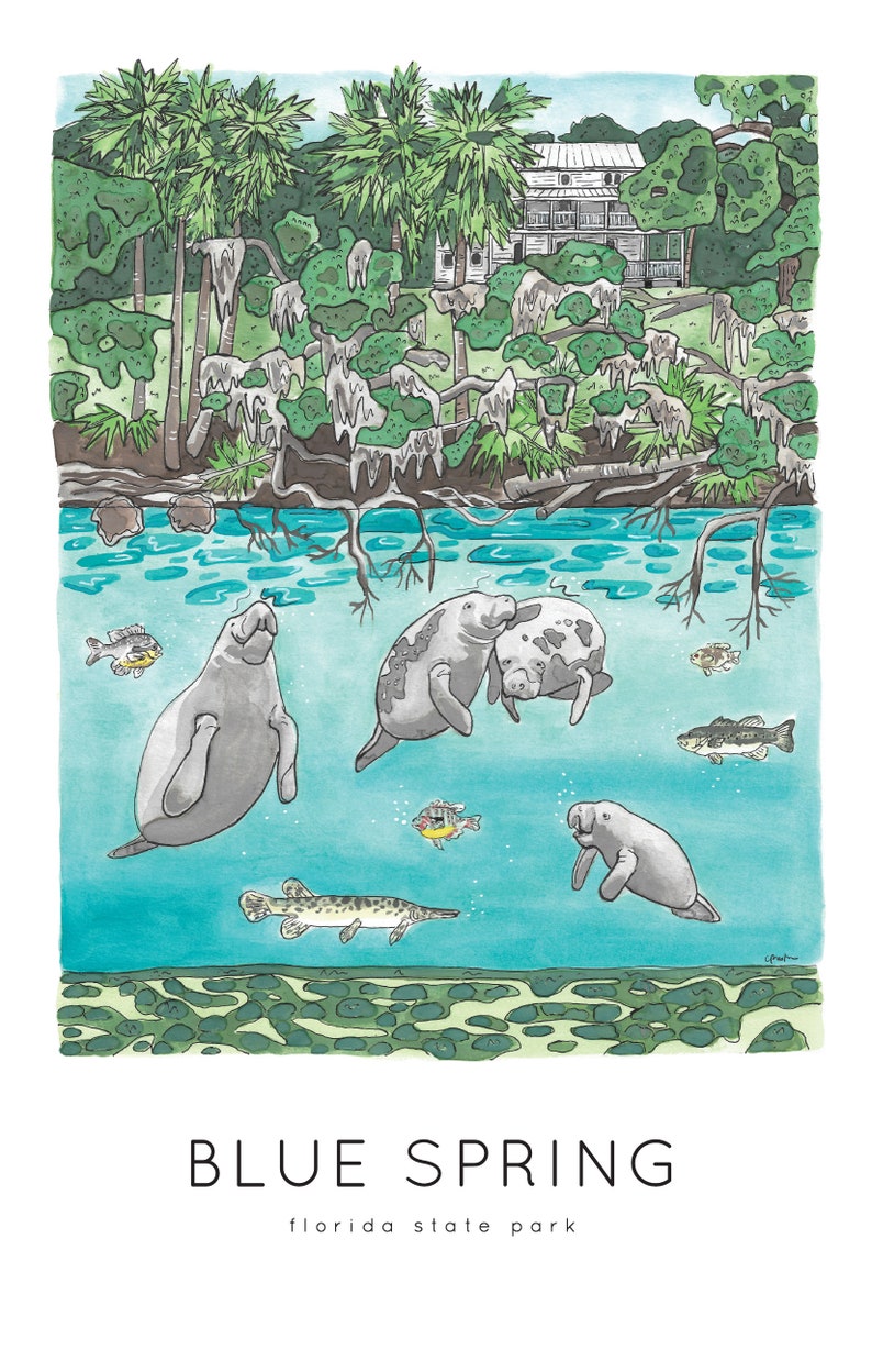Watercolor Illustration Print of Blue Spring Florida State - Etsy