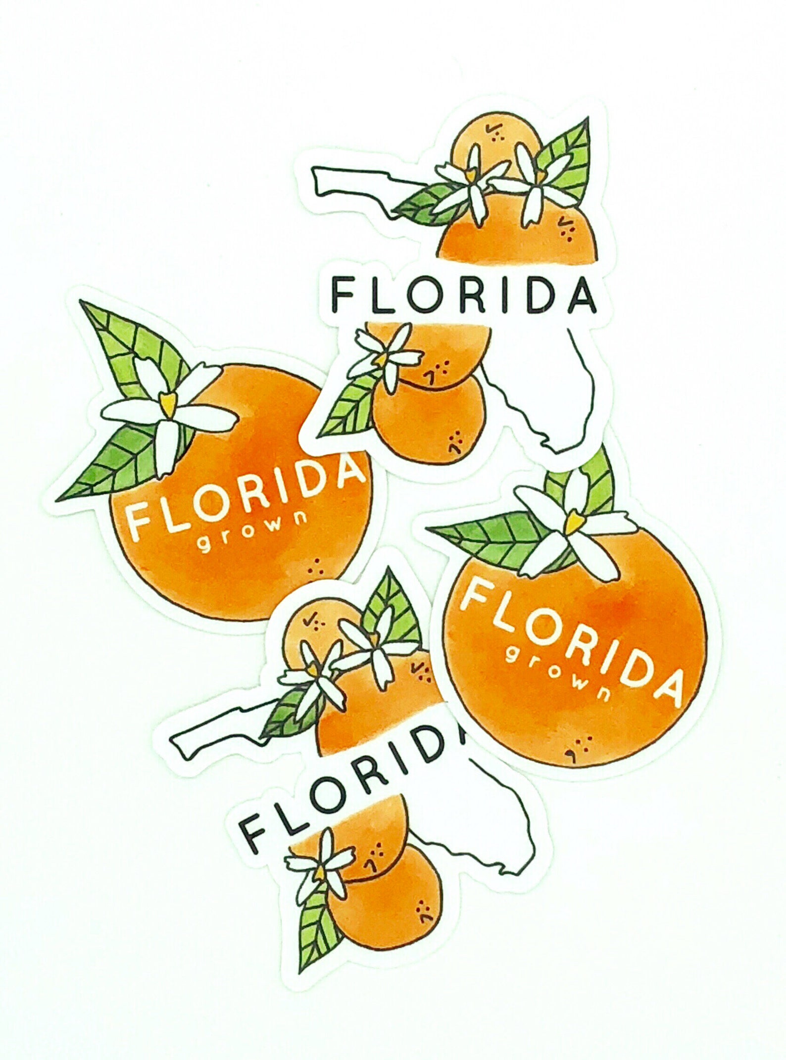Watercolor Florida Grown Orange Die Cut Sticker - Etsy