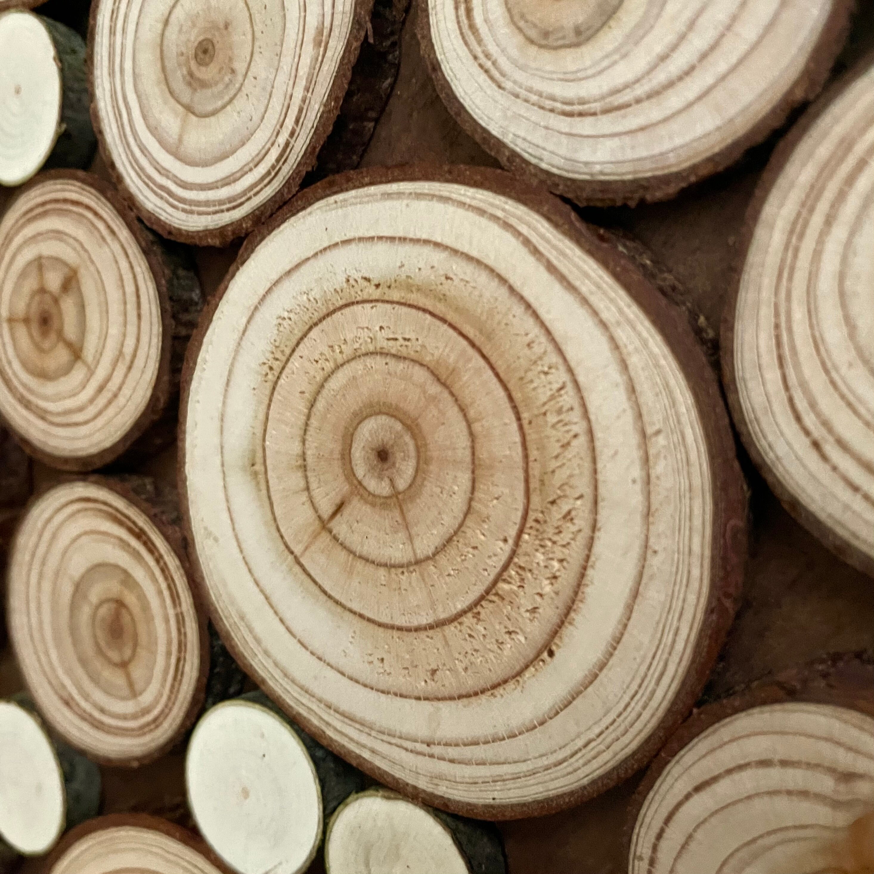 Wood Slice Wall Art, Wood Mosaic, Small Wood Wall Art, Natural Wood ...