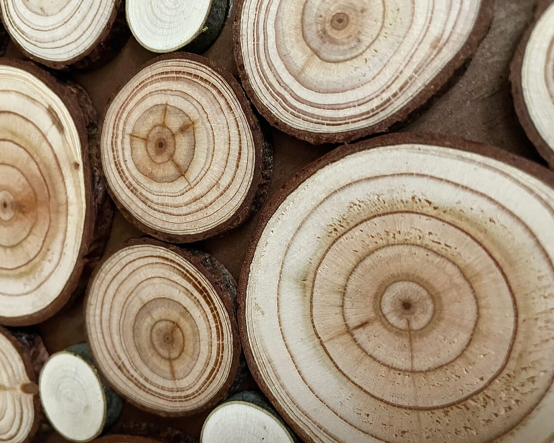 Wood Slice Wall Art Wood Mosaic Small Wood Wall Art Natural - Etsy