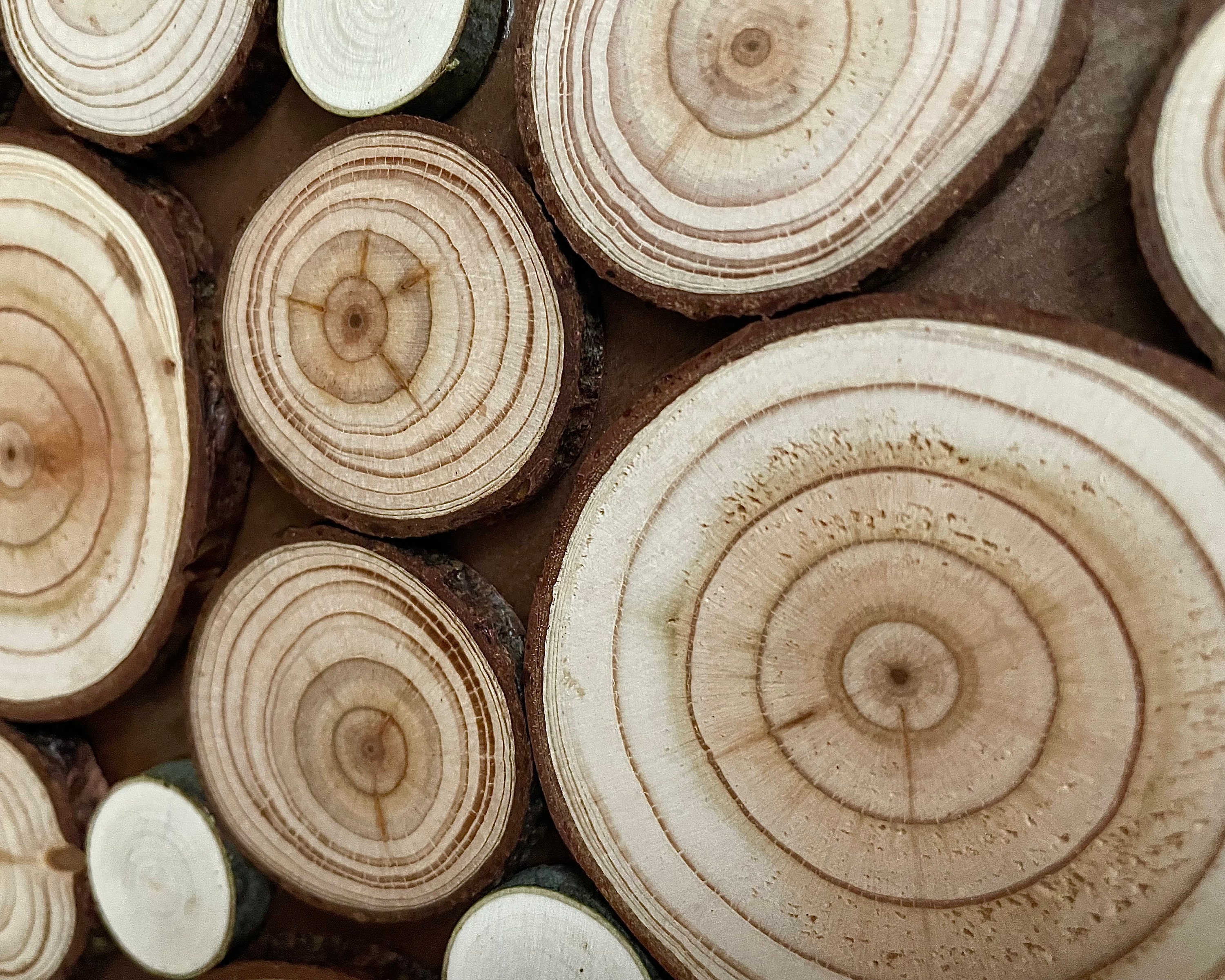 Wood Slice Wall Art, Wood Mosaic, Small Wood Wall Art, Natural Wood ...