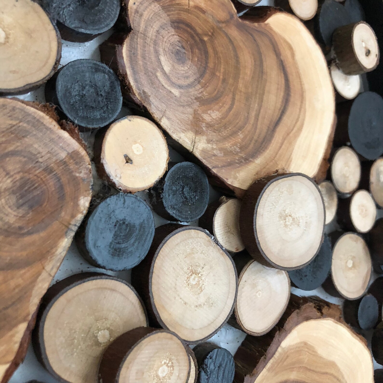 Wood slice wall art Tree slice wall art Abstract wood art | Etsy