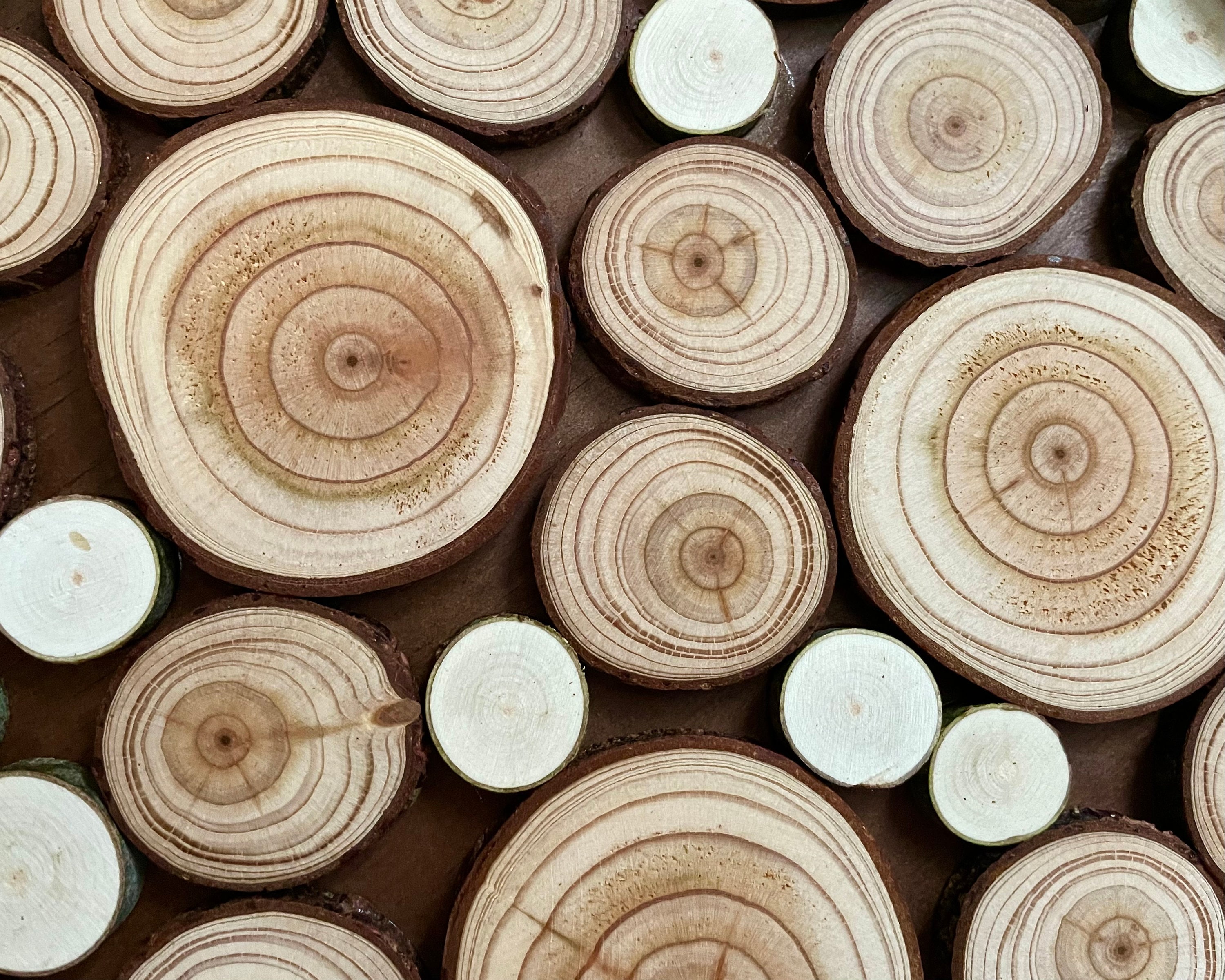 Wood Slice Wall Art, Wood Mosaic, Small Wood Wall Art, Natural Wood ...