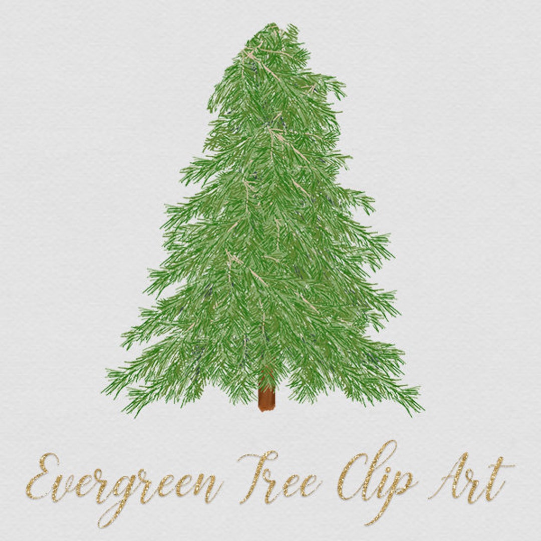 Painted Evergreen Tree Clip Art | Hand Painted Clip Art | Green Tree ...
