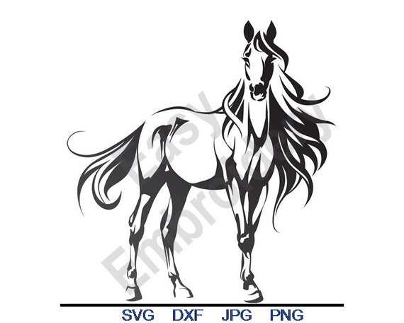 Stallion Horse Svg Dxf Eps Png Jpg Vector Art Clipart - Etsy