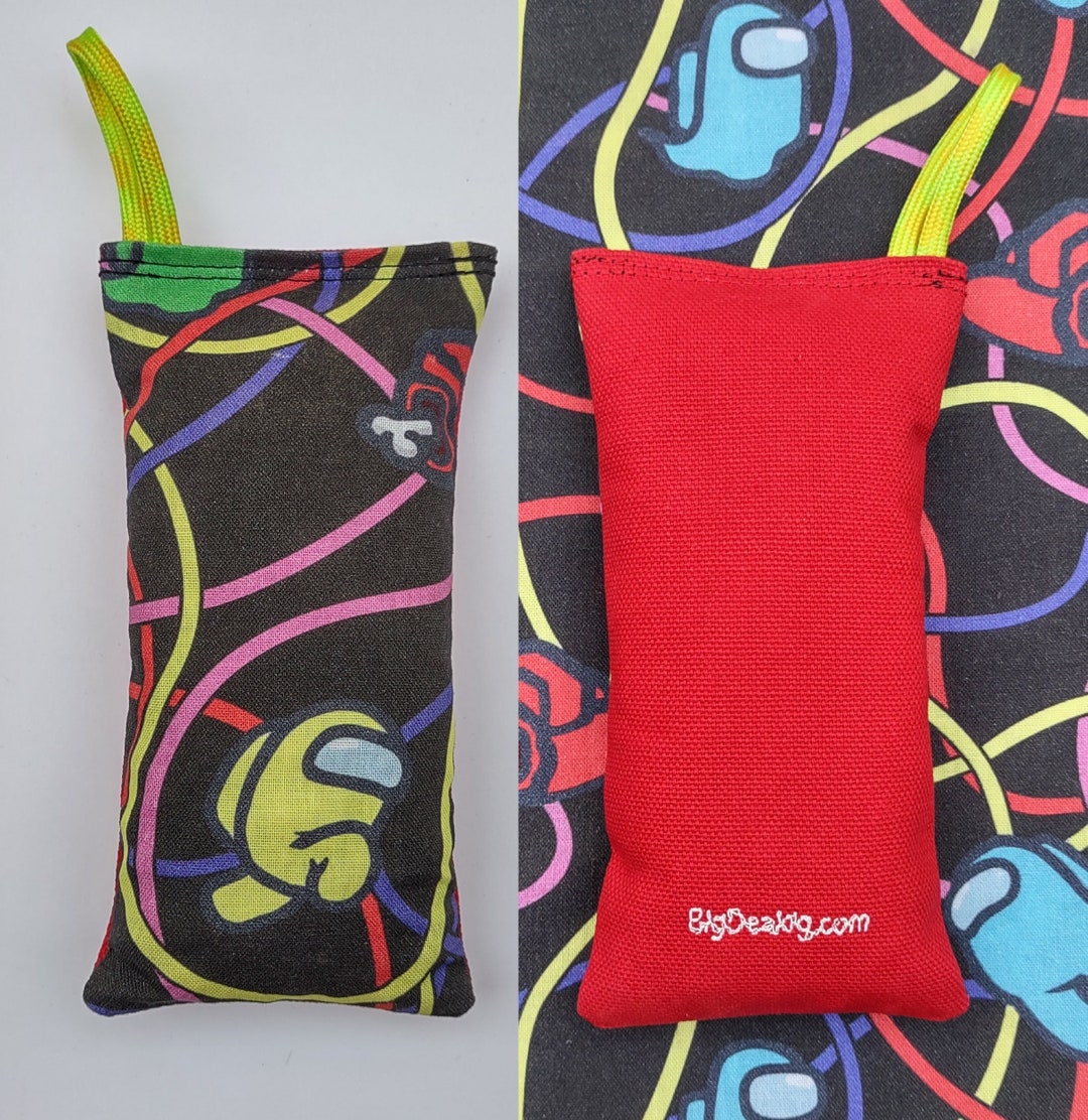 Big Deal DG totally Sus Fabric, Handmade Discgolf Dirt Bag, Dry Hands ...