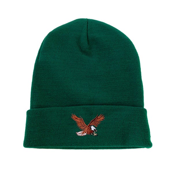 Philadelphia Eagles Skull Cap - Etsy