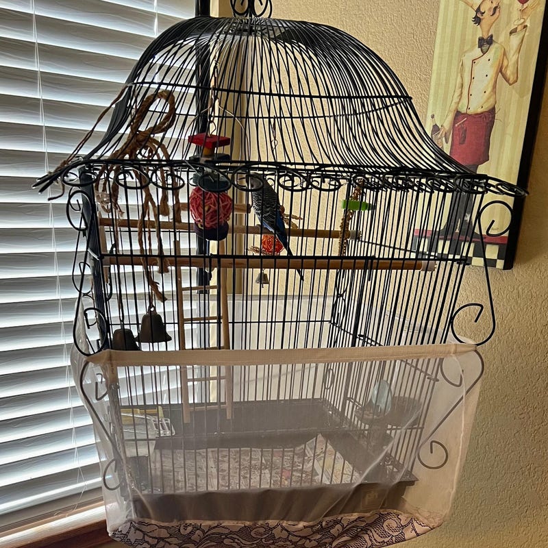 Bird Cage Print - Etsy