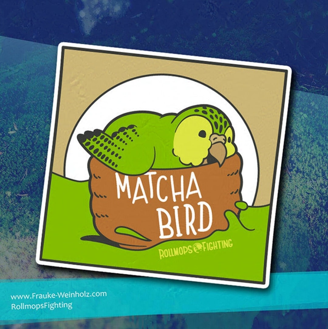 Matcha Bird Kakapo Sticker - Etsy