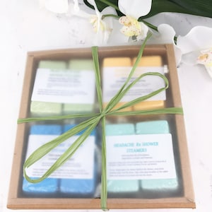 Variety Set Shower Steamers, Natural Aromatherapy Shower Bombs ...