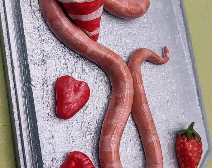 Strawberry Snow Cone Snow Corn Snake Art Plaque- Snow Corn Snake- Snake ...
