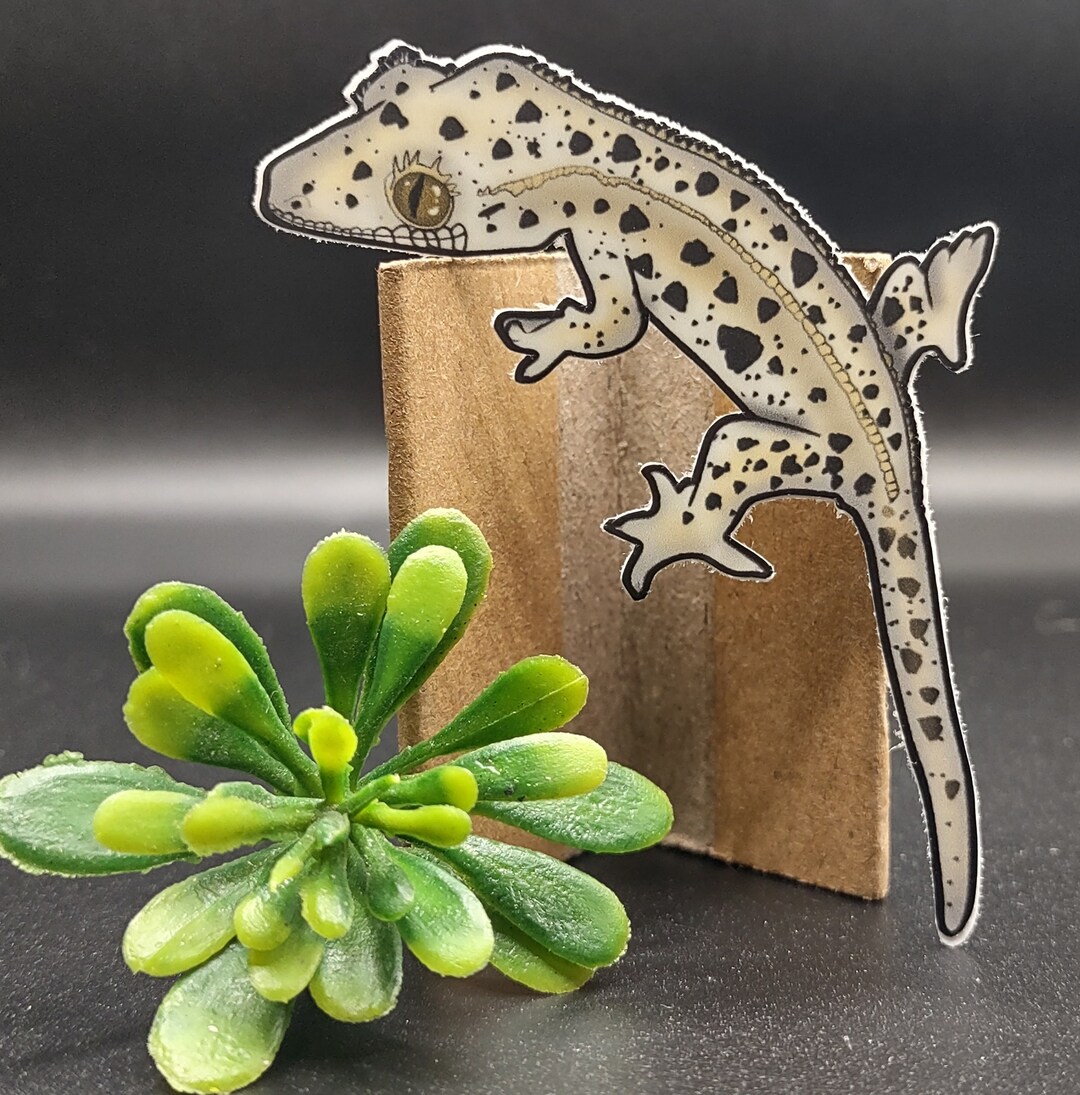 Dalmation Crested Gecko Dicut Vinyl Sticker- Matte Sticker- Crested ...