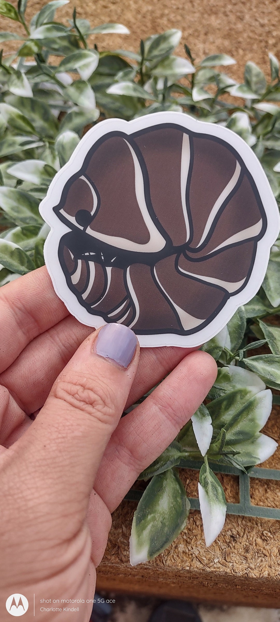 Matte Isopod Stickers With Clear Backing, Isopod Stickers, Isopod Art ...