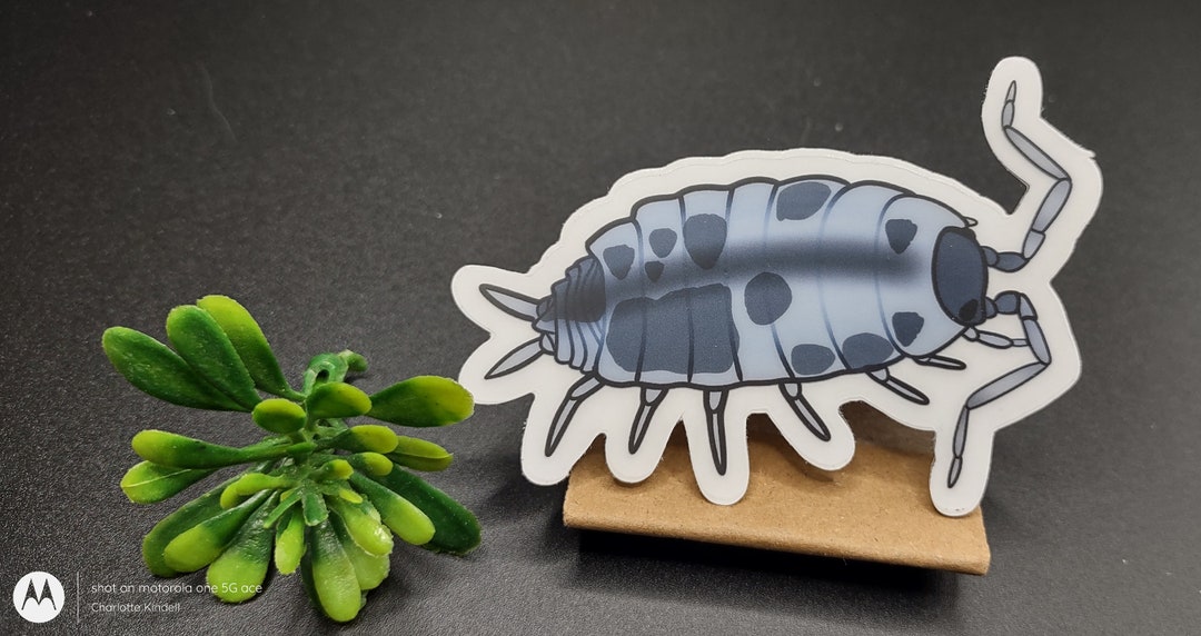 Isopod Diecut Sticker- Matte Sticker- Isopod Bin Labels- Isopod Bin ...