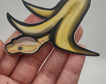 Banana Ball Python Stickers - Etsy