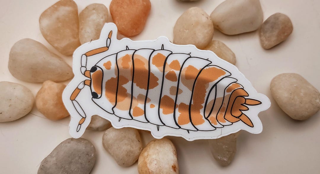 Isopod Art Sticker – Matte Diecut, Clear Vinyl - Etsy