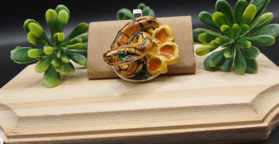 OOAK Honey Bee Ball Python With Honey Comb Bust Pendant, Ball Python ...