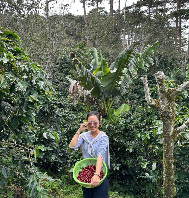 ONCE. Vietnam Fine Róbusta Specialty Coffee Roasted Micro-lot - Etsy ...