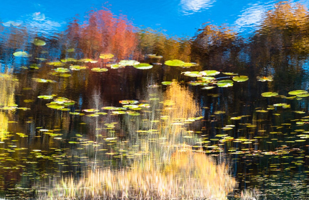 Autumn at Bellevue Pond, Middlesex Fells Reservation, Medford ...