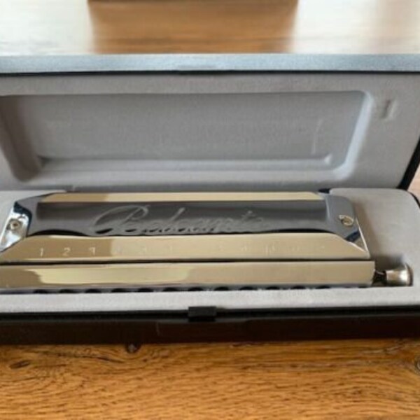 Harmonica Case - Etsy