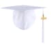 Sublimation Graduation Cap - Etsy