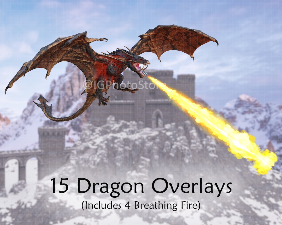 Dragon Digital Overlays, Wyvern Overlays, Transparent PNG Dragons ...