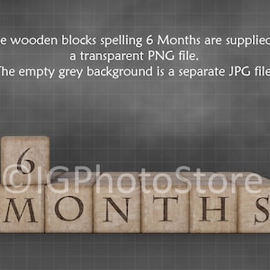 6 Months Digital Backdrop, 6 Month Old Baby Milestone Background, Baby ...